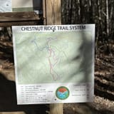 Chestnut Ridge Heritage Preserve Trail, South Carolina - 1,412 Reviews ...
