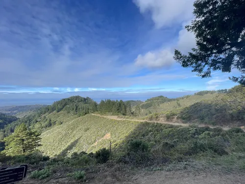 10 Best Hikes and Trails in Purisima Creek Redwoods Open Space Preserve ...