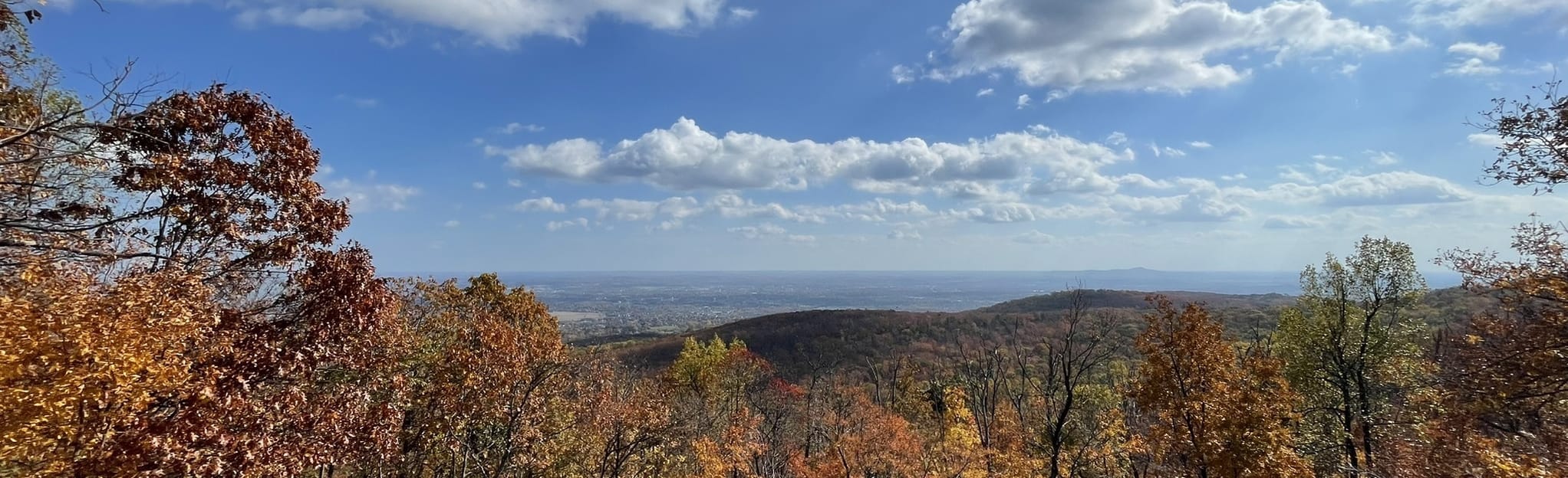 Gambrill State Park Loop, Maryland - 494 Reviews, Map | AllTrails