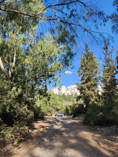 10 Best Hikes and Trails in Valley of Elah National Park | AllTrails