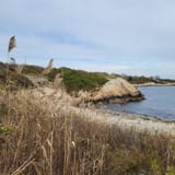 Black Point Trail, Rhode Island - 796 Reviews, Map | AllTrails