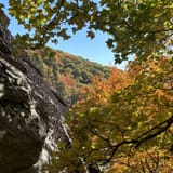 Tanawha Trail, North Carolina - 73 Reviews, Map | AllTrails