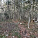 Percy Peaks Loop, New Hampshire - 264 Reviews, Map | AllTrails