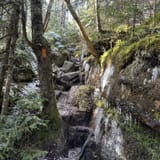 Percy Peaks Loop, New Hampshire - 264 Reviews, Map | AllTrails