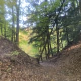 Aman Park Loop, Michigan - 1,217 Reviews, Map | AllTrails
