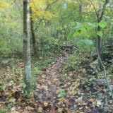Aman Park Loop, Michigan - 1,217 Reviews, Map | AllTrails