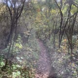 Aman Park Loop, Michigan - 1,217 Reviews, Map | AllTrails