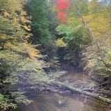 Aman Park Loop, Michigan - 1,217 Reviews, Map | AllTrails