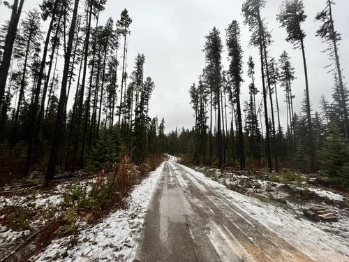 Best Forest Trails in Smithers Community Forest Trails Recreation Site ...