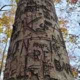 Conestoga Trail: Speedwell Forge Lake, Pennsylvania - 192 Reviews, Map ...