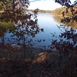 Herb Parsons Lake Green Trail, Tennessee - 803 Reviews, Map | AllTrails