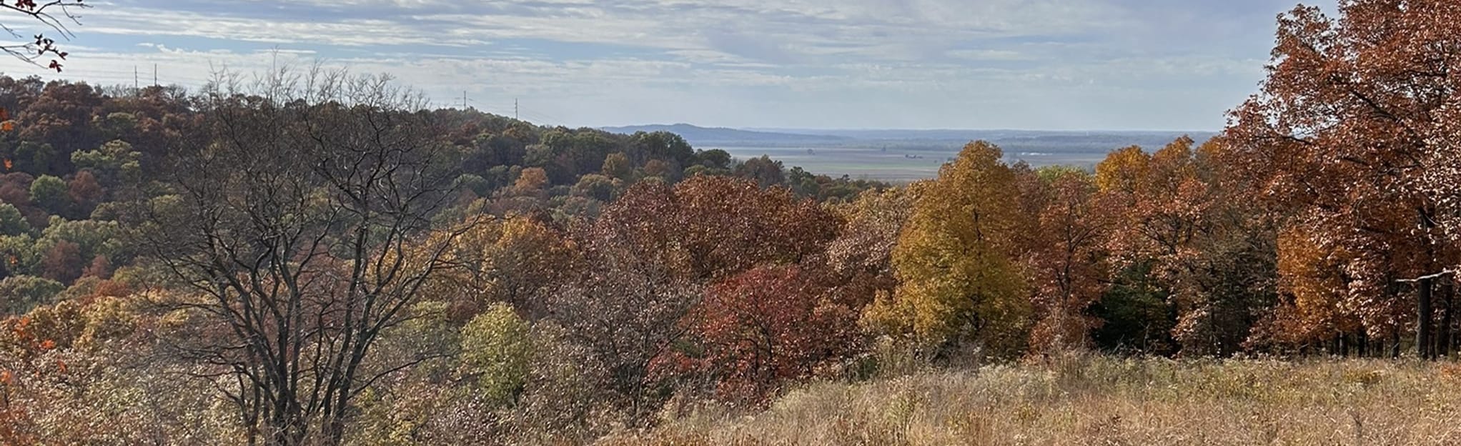 Salt Lick Trail Short Loop, Illinois - 398 Reviews, Map | AllTrails