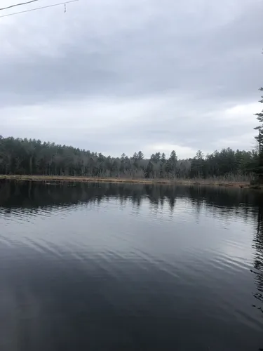 Best Hikes and Trails in Lowell Lake State Park | AllTrails