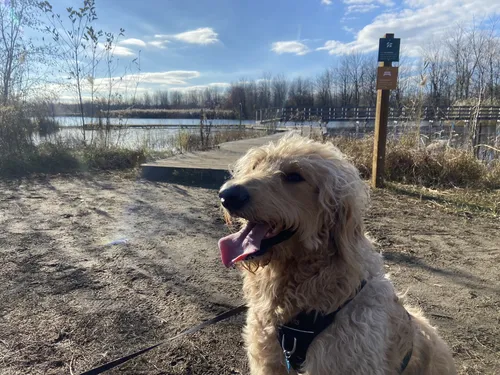 Best Trails, Walks, and Paths in Saint-Amable | AllTrails