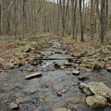 Ramapo Reservation Loop Trail, New Jersey - 1,644 Reviews, Map | AllTrails