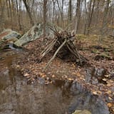 Ramapo Reservation Loop Trail, New Jersey - 1,644 Reviews, Map | AllTrails