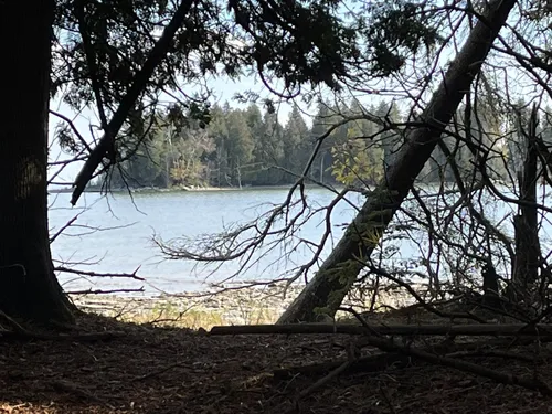 Best Hikes and Trails in Toft Point State Natural Area | AllTrails