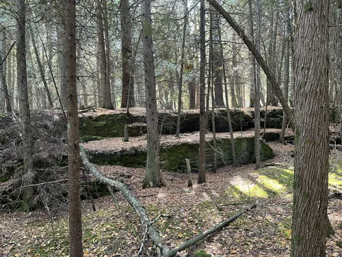 Best Hikes and Trails in Toft Point State Natural Area | AllTrails