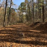 The Billy Yank Trail, Pennsylvania - 680 Reviews, Map | AllTrails