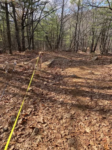 Best Hikes and Trails in Thomas P. Murray Recreation Area | AllTrails