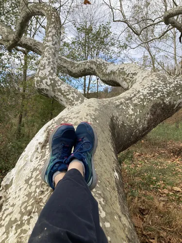Best Hikes and Trails in Ashland Nature Center | AllTrails