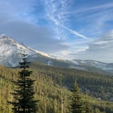 Bald Mountain from Lolo Pass Trail, Oregon - 1,749 Reviews, Map | AllTrails