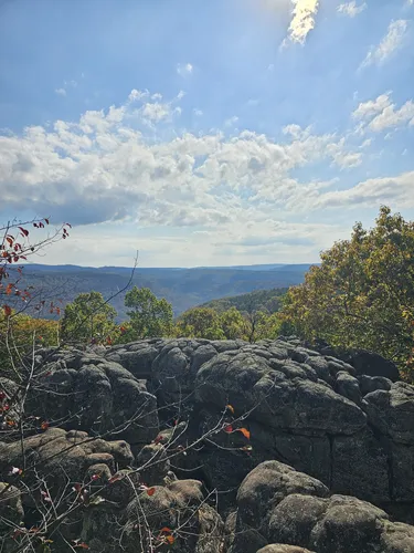Best Hikes and Trails in Dover | AllTrails