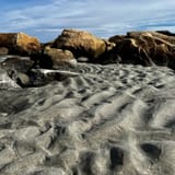 Black Point Trail, Rhode Island - 796 Reviews, Map | AllTrails