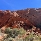 Johnson Canyon Trail, Utah - 893 Reviews, Map | AllTrails