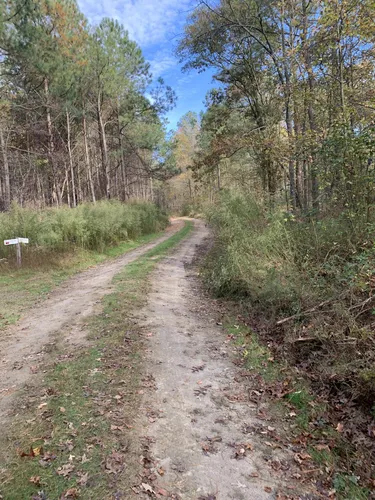 Best Hikes and Trails in Pemberton Forest Preserve Ponders Tract ...