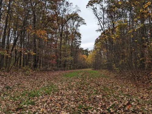 Best Hikes and Trails in Coventry Woods Park | AllTrails