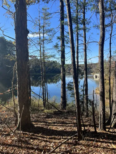 Best Hikes and Trails in W. Kerr Scott Reservoir | AllTrails