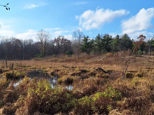 Best Hikes and Trails in Murphy's Point Provincial Park | AllTrails