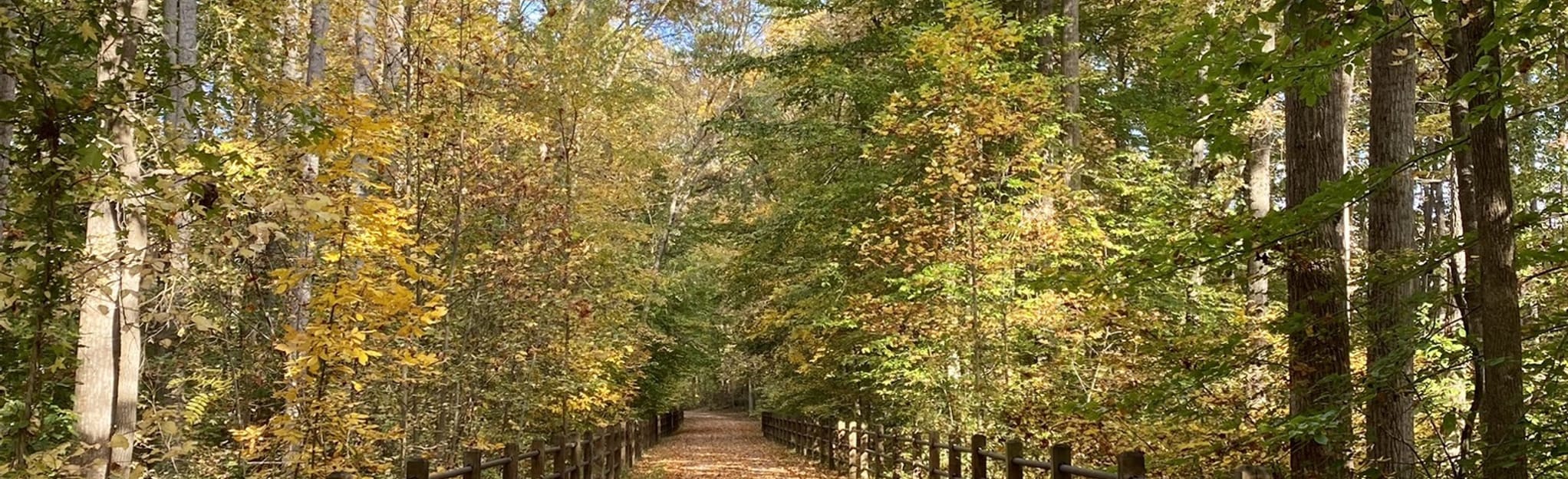 Alum Springs Park Loop, Virginia - 209 Reviews, Map | AllTrails