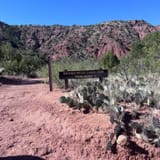 Haynes Ridge and Upper North Prong Trail Loop, Texas - 766 Reviews, Map ...