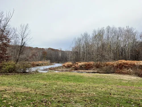 Best Hikes and Trails in Pinebrook Park | AllTrails