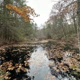 Capen Hill Nature Sanctuary, Massachusetts - 234 Reviews, Map | AllTrails