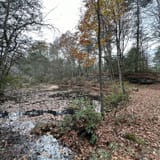 Capen Hill Nature Sanctuary, Massachusetts - 234 Reviews, Map | AllTrails