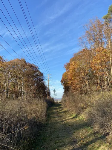 Best Hikes and Trails in Walnut Springs Park | AllTrails