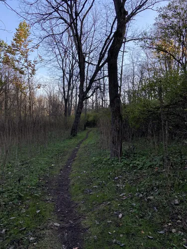 Best Hikes and Trails in Walnut Springs Park | AllTrails