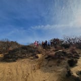 Paumanok Path, New York - 126 Reviews, Map | AllTrails