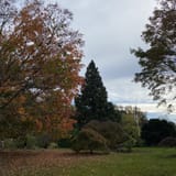 Tatum County Park Trails, New Jersey - 895 Reviews, Map | AllTrails