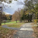 Tatum County Park Trails, New Jersey - 919 Reviews, Map | AllTrails