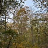 Tatum County Park Trails, New Jersey - 607 Reviews, Map | AllTrails