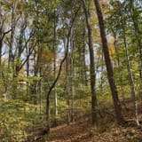 Tatum County Park Trails, New Jersey - 617 Reviews, Map | AllTrails