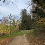 Tatum County Park Trails, New Jersey - 652 Reviews, Map | AllTrails