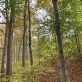 Tatum County Park Trails, New Jersey - 652 Reviews, Map | AllTrails