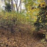 Tatum County Park Trails, New Jersey - 652 Reviews, Map | AllTrails