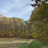 Tatum County Park Trails, New Jersey - 652 Reviews, Map | AllTrails