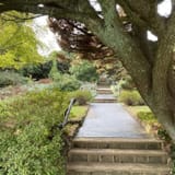 Tatum County Park Trails, New Jersey - 652 Reviews, Map | AllTrails